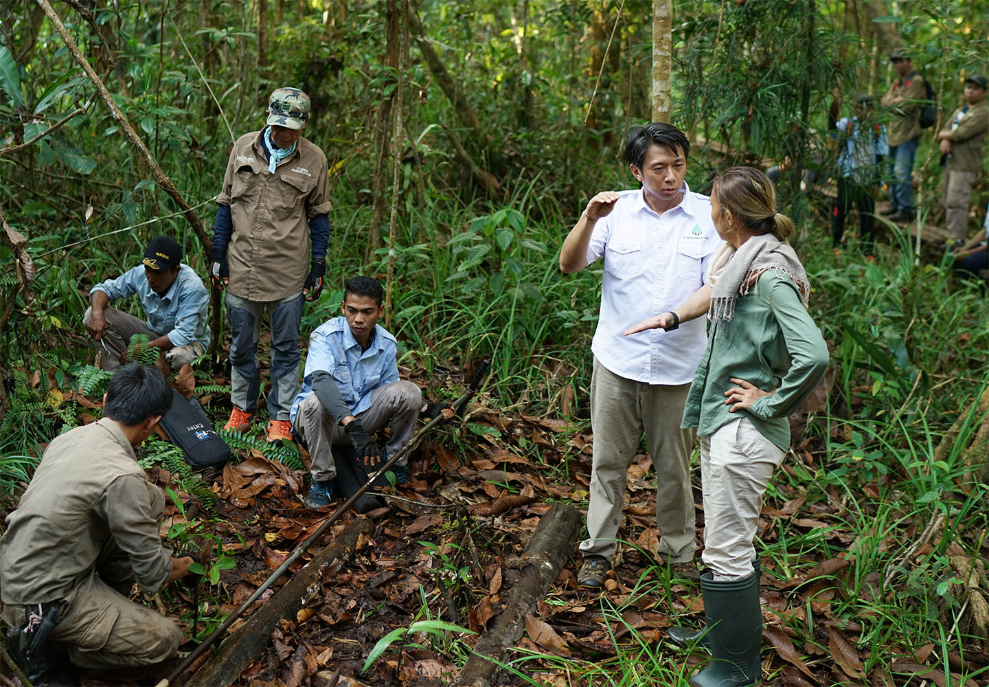 Katingan Mentaya Project | Katingan Mentaya Project | About